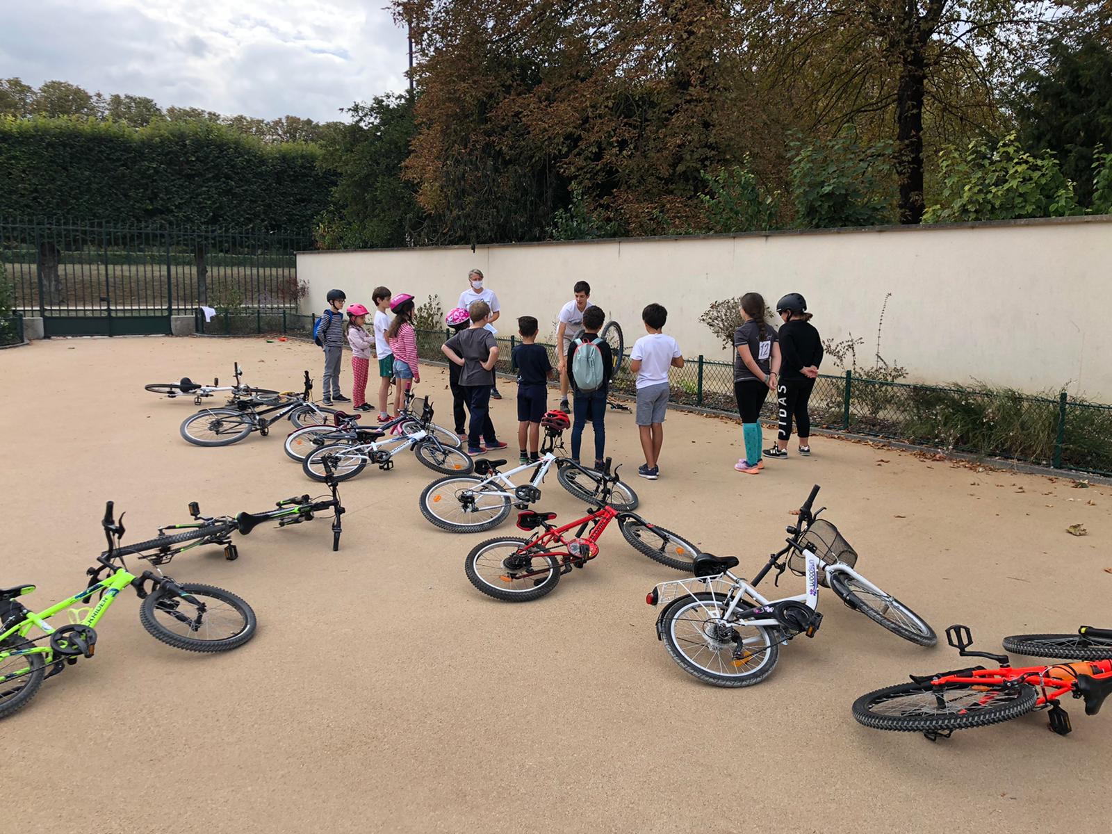 L'automne s'installe mais les entrainements se poursuivent - Chantilly ...